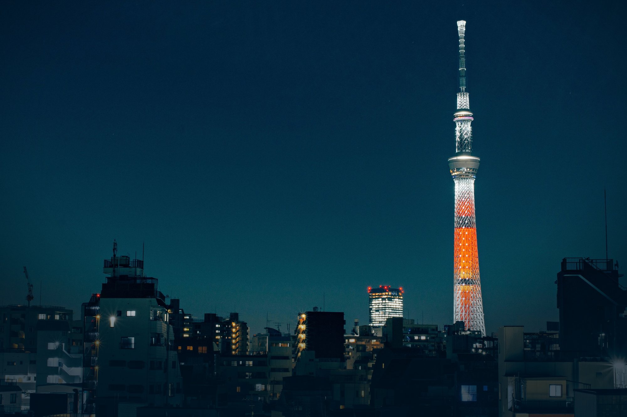 Contact Us | Motive Software Solutions